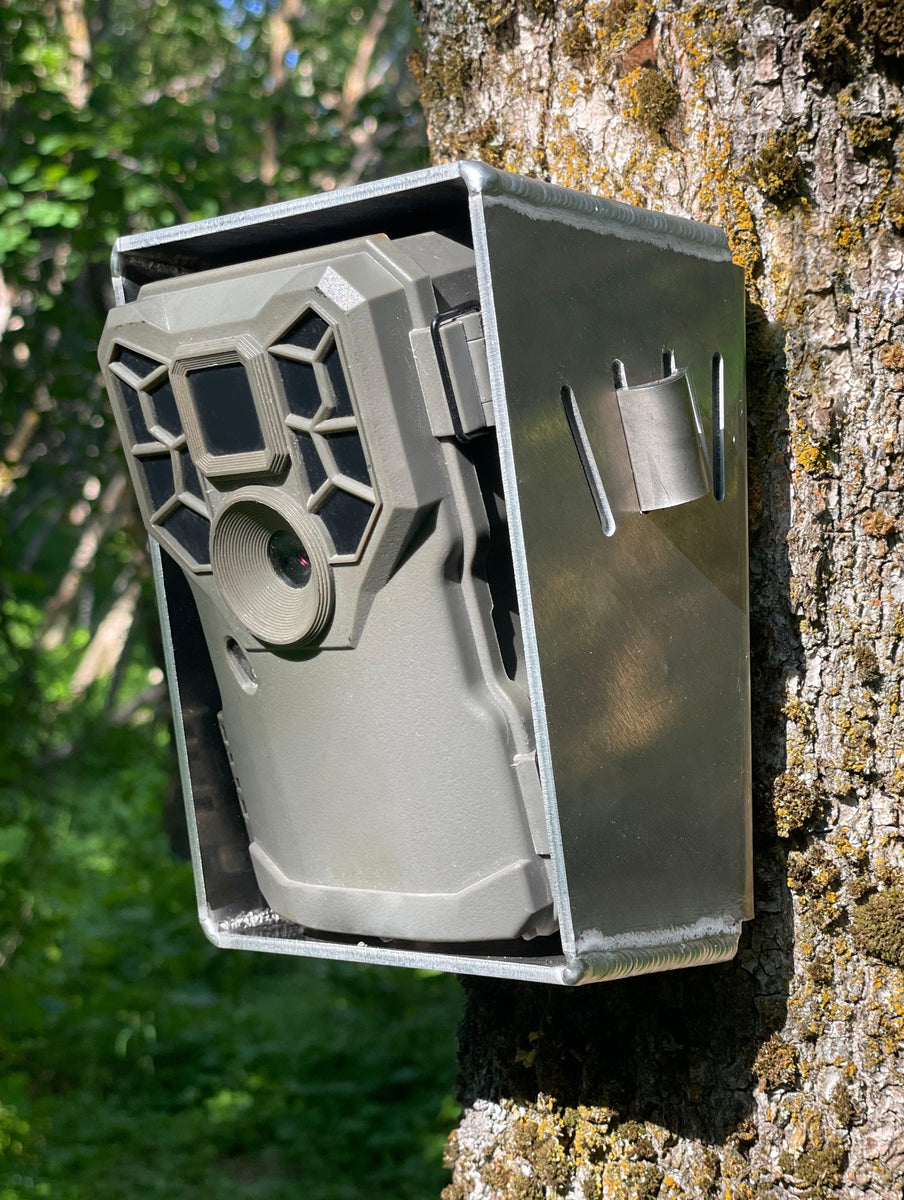 Trail Camera Lock Box – Dead On Display