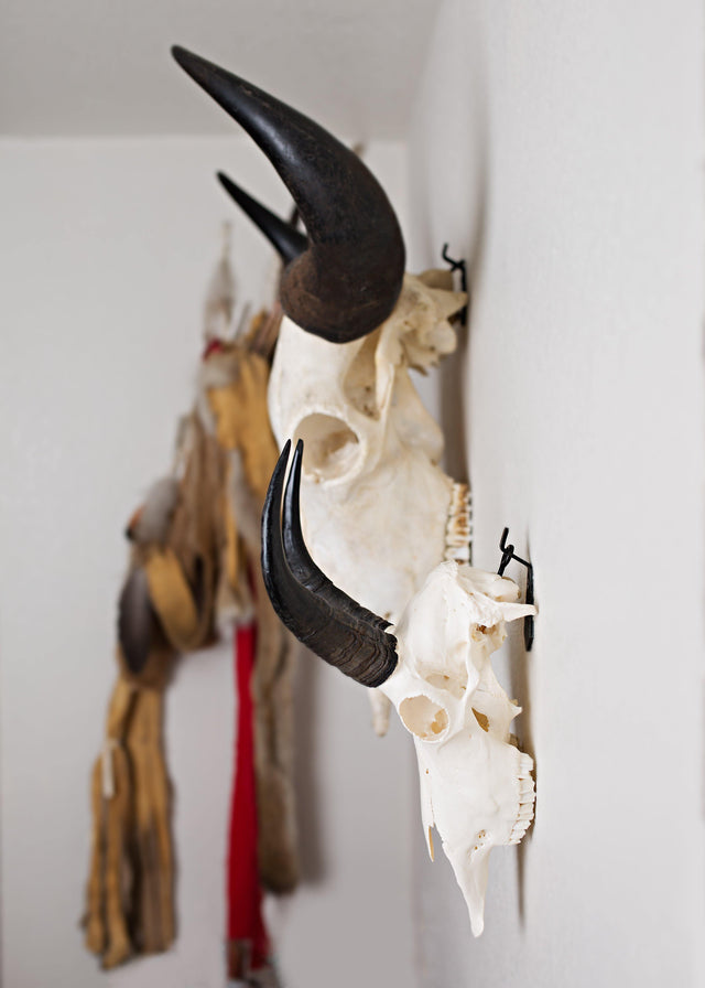 European Mount Skull Hanger | Skull Bracket – Dead On Display